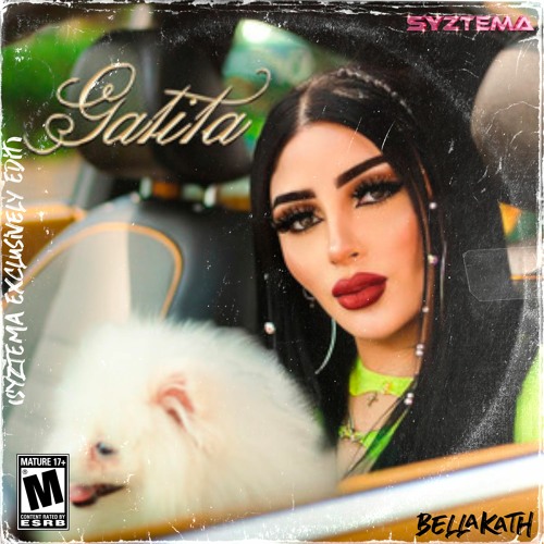 pumpyoursound.com | Syztema