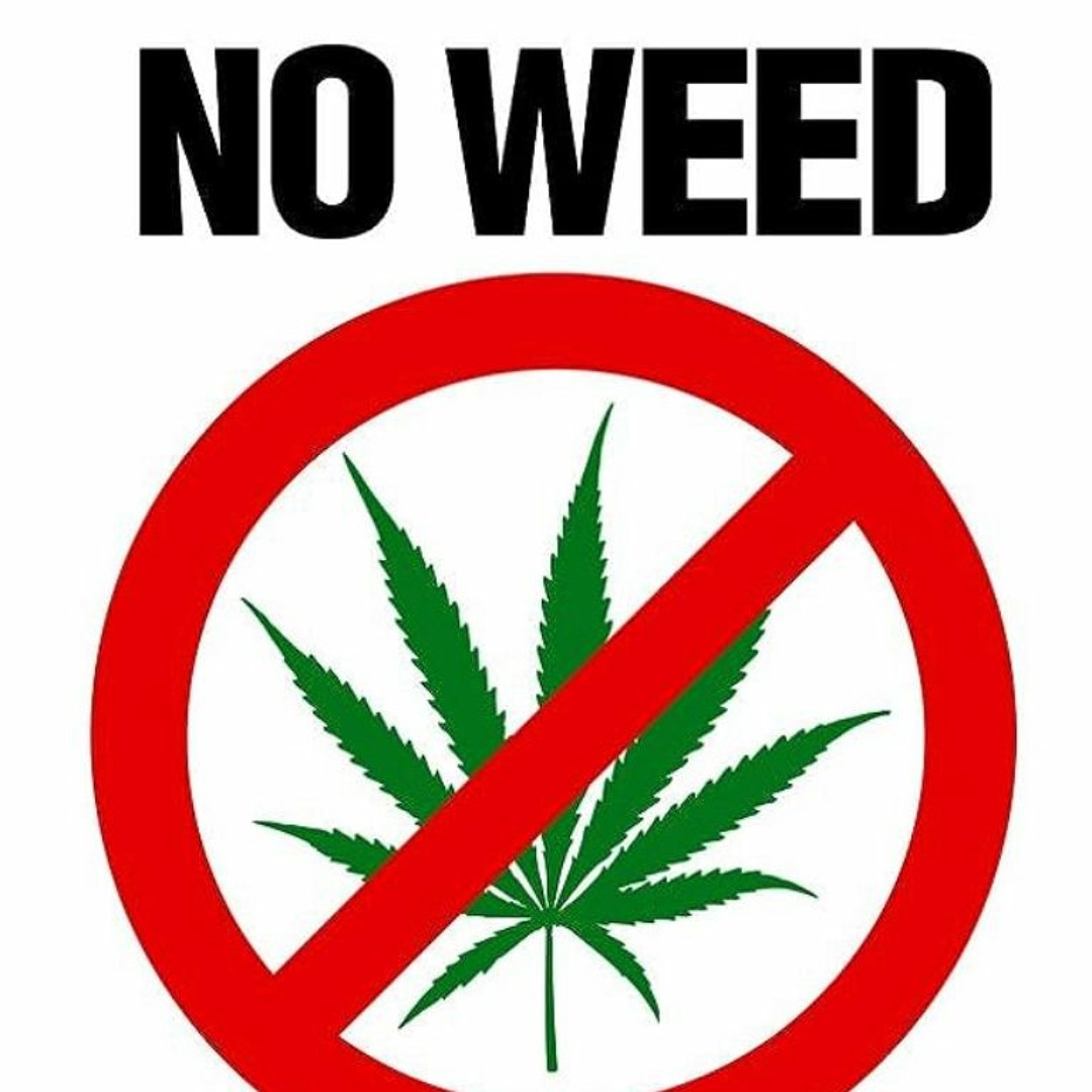 Stream King Beno - No Weed ft. LIL SEMI & ASKII Jump Out by King Beno ...