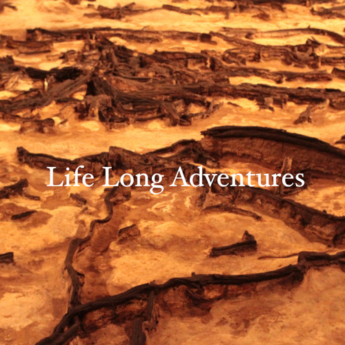 Stream Life Long Adventures by snasuhiko | Listen online for free on ...