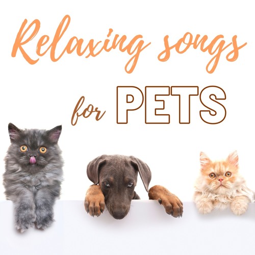 Stream Calm song (Guitar) by Therapeutic songs for animals | Listen ...