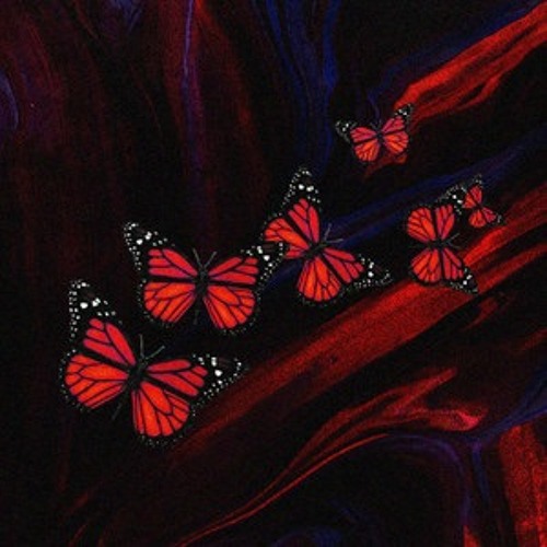 Stream playboi carti - neon butterflies [prod. adrian] (528hz) by guy ...