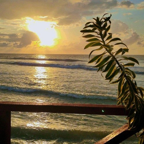 Stream Joy Benitez _ Progressive House Sunset Mix 2022 _ By @EPHIMERA ...