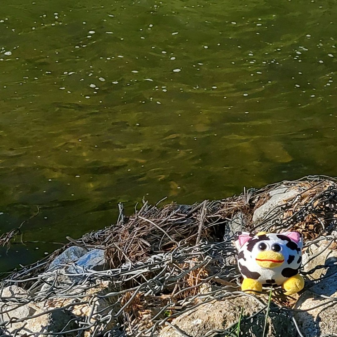 Stream Peepy's Theme by emamouse | Listen online for free on SoundCloud