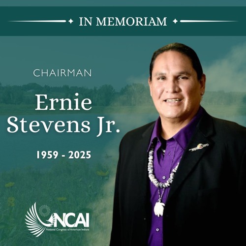 Stream In Memoriam: Ernie Stevens Jr (1959-2025) by indianz | Listen ...