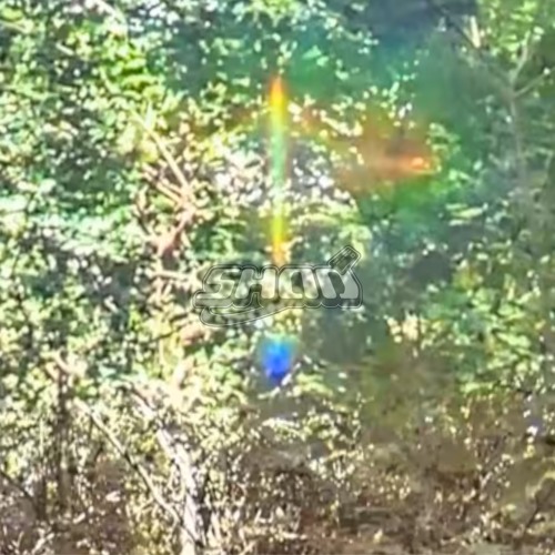 Stream BUXX Ft. Serious Shad [Flea Diamonds] by 5989Records | Listen ...