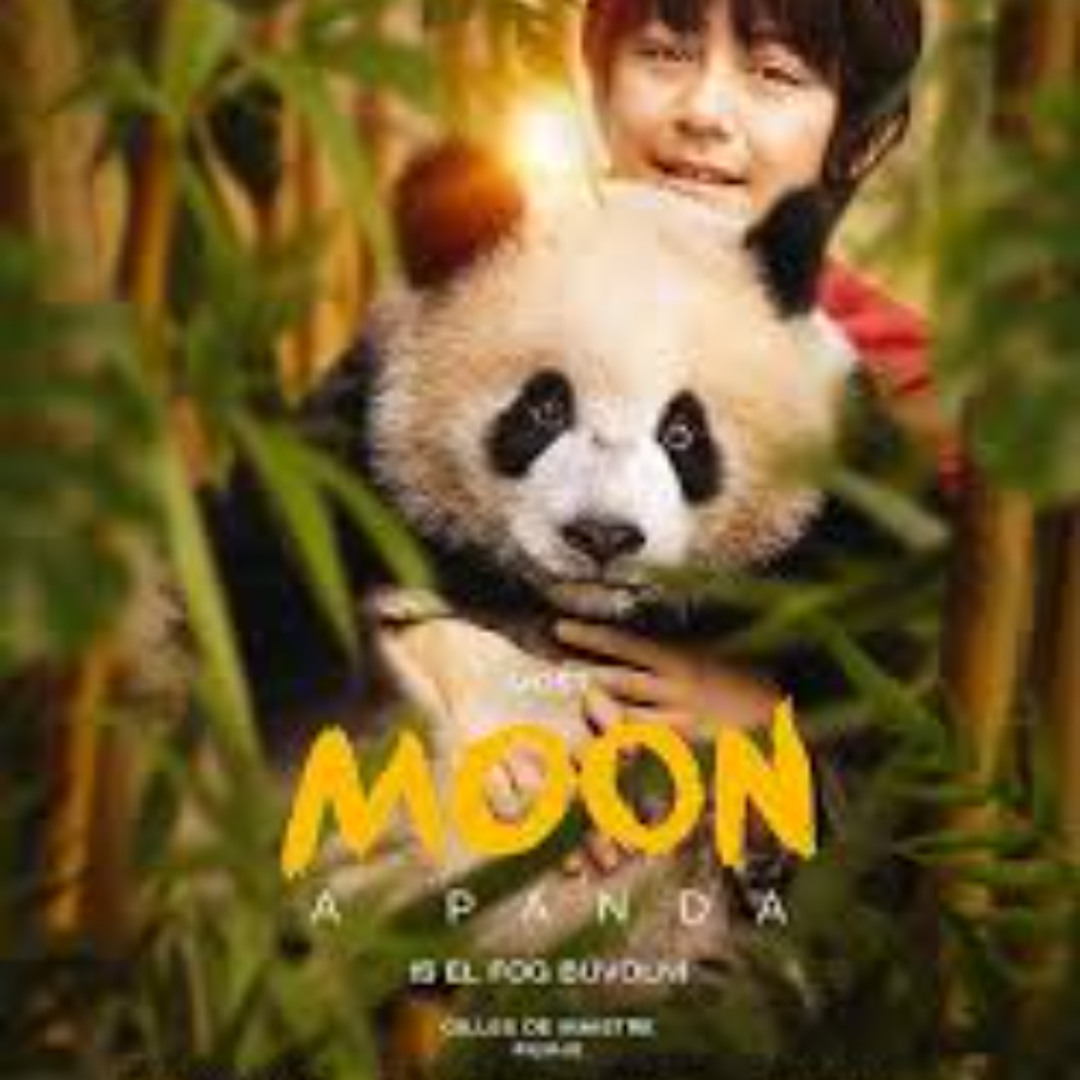 Stream Moon le Panda Teljes Film (2025) Indavideo Magyarul Videa-hu ...