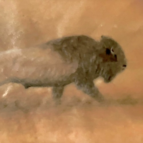 Stream Stone Cold Dead Of Winter by Christopher Kinman | Listen online ...