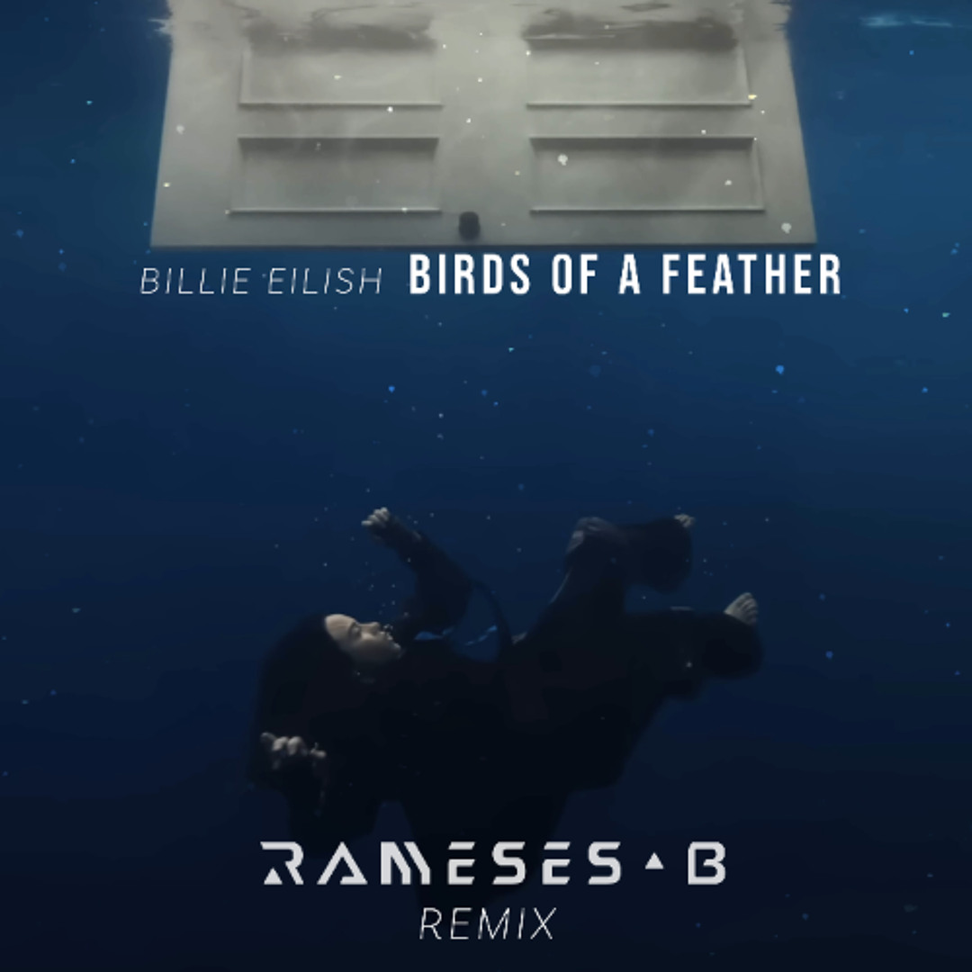 Stream Billie Eilish - BIRDS OF A FEATHER (Rameses B Remix) by Rameses ...