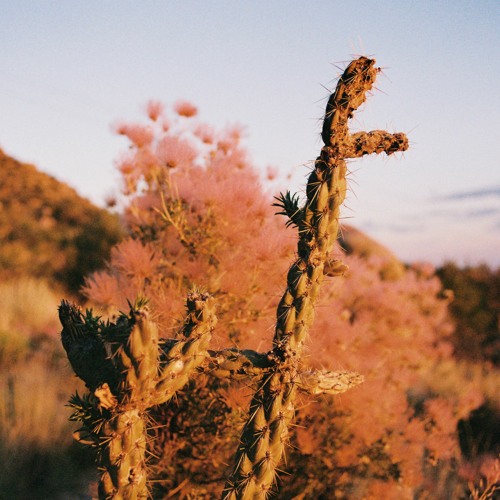 Stream The Look (Metronomy) - cover by olivia sun | Listen online for ...