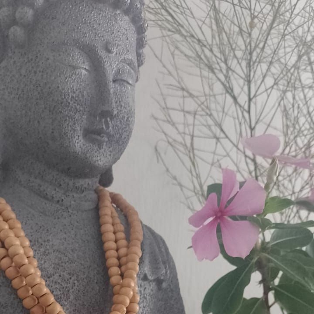 Stream Lic. Karina Verdun - Amabilidad by Vistara DJ | Listen online ...