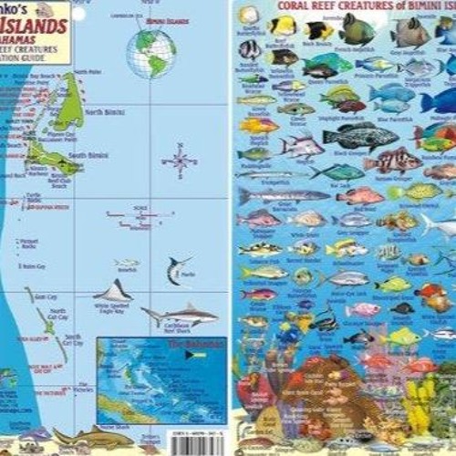 Stream episode READ Bimini Islands Bahamas Dive Map & Reef Creatures ...