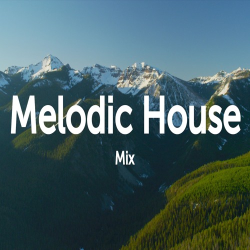 Stream Melodic House Progressive House Indie Dance Mix 2024 by eegltn ...