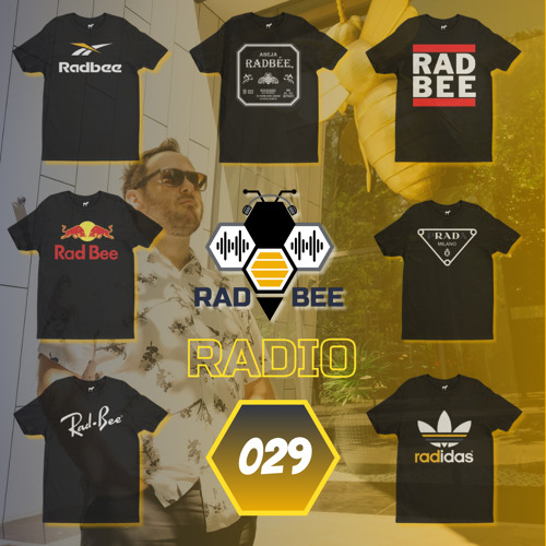 Stream RAD BEE RADIO 29 | Tech House / Minimal / Progressive by Rad Bee ...