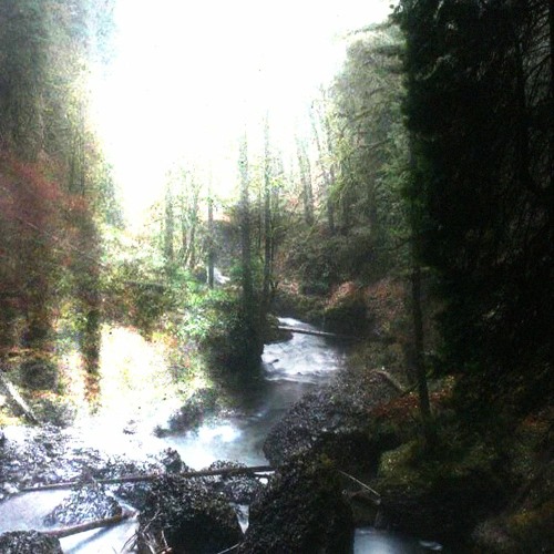 Stream addiction by pharmacy | Listen online for free on SoundCloud