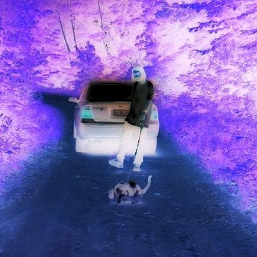 Stream One Path Brings Confusion. One Path Has Walls. by sonoid ...