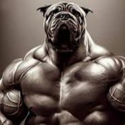 Stream Roided Up Gym Mix by Danny Zarajew | Listen online for free on ...