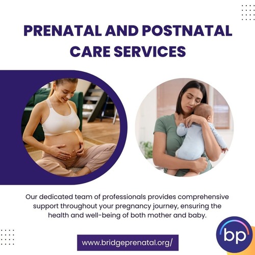 Stream Find The Best Prenatal And Postnatal Care Services By Bridge Prenatal by Bridge Prenatal ...