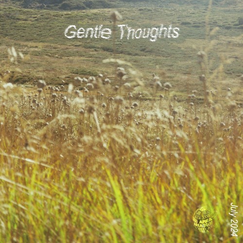 Stream Gentle Thoughts W Sokeiprim - 15th July 2024 by Area 3000 Radio ...