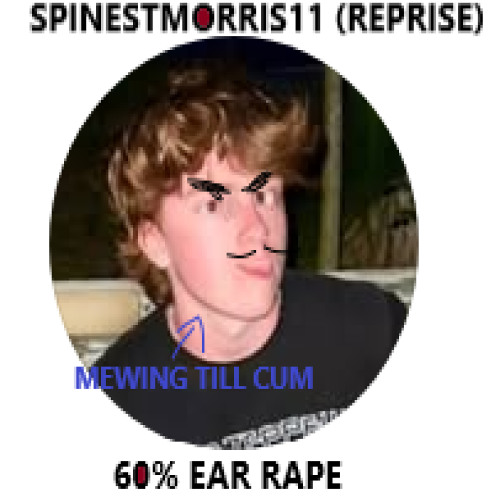 Stream 60% Ear Rape | Listen to SpinestMorris11 (Reprise) & Mewing Till ...