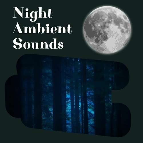 Stream Night Sounds Channel | Listen to Night Ambient Sounds, Cricket ...