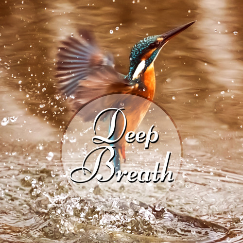 Stream Relaxing Spa Music Zone | Listen to Deep Breath - Relaxation ...
