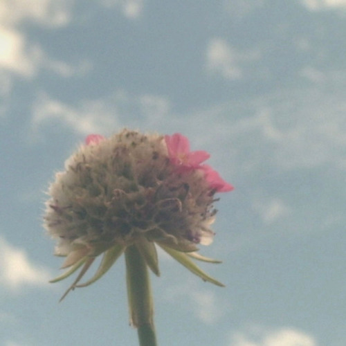 Reswob – undeserving Lyrics | Genius Lyrics