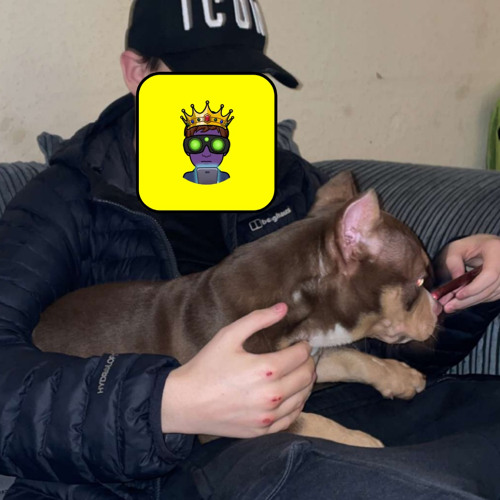 Stream hold on tight mc fraz, mc molegrip and mc pigeon by matthew ...