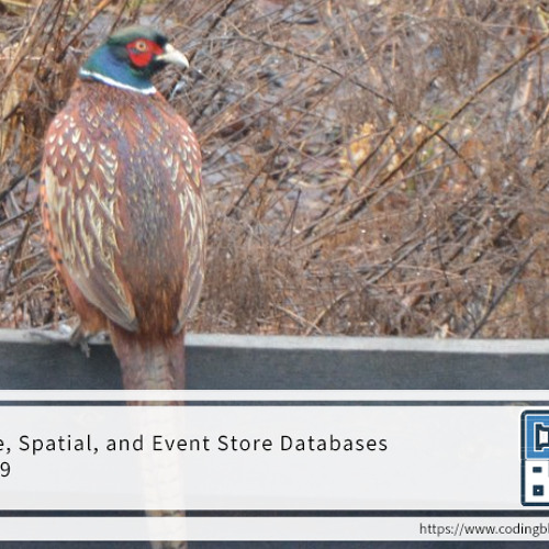 Stream Multi Value Spatial And Event Store Databases By Coding Blocks 1784