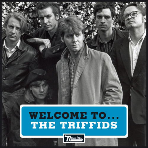 Stream The Triffids | Listen to Welcome to the Triffids playlist online ...