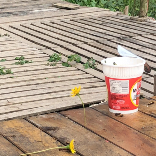 thiên lý ơi | T.R.I | Cover - Listen to music