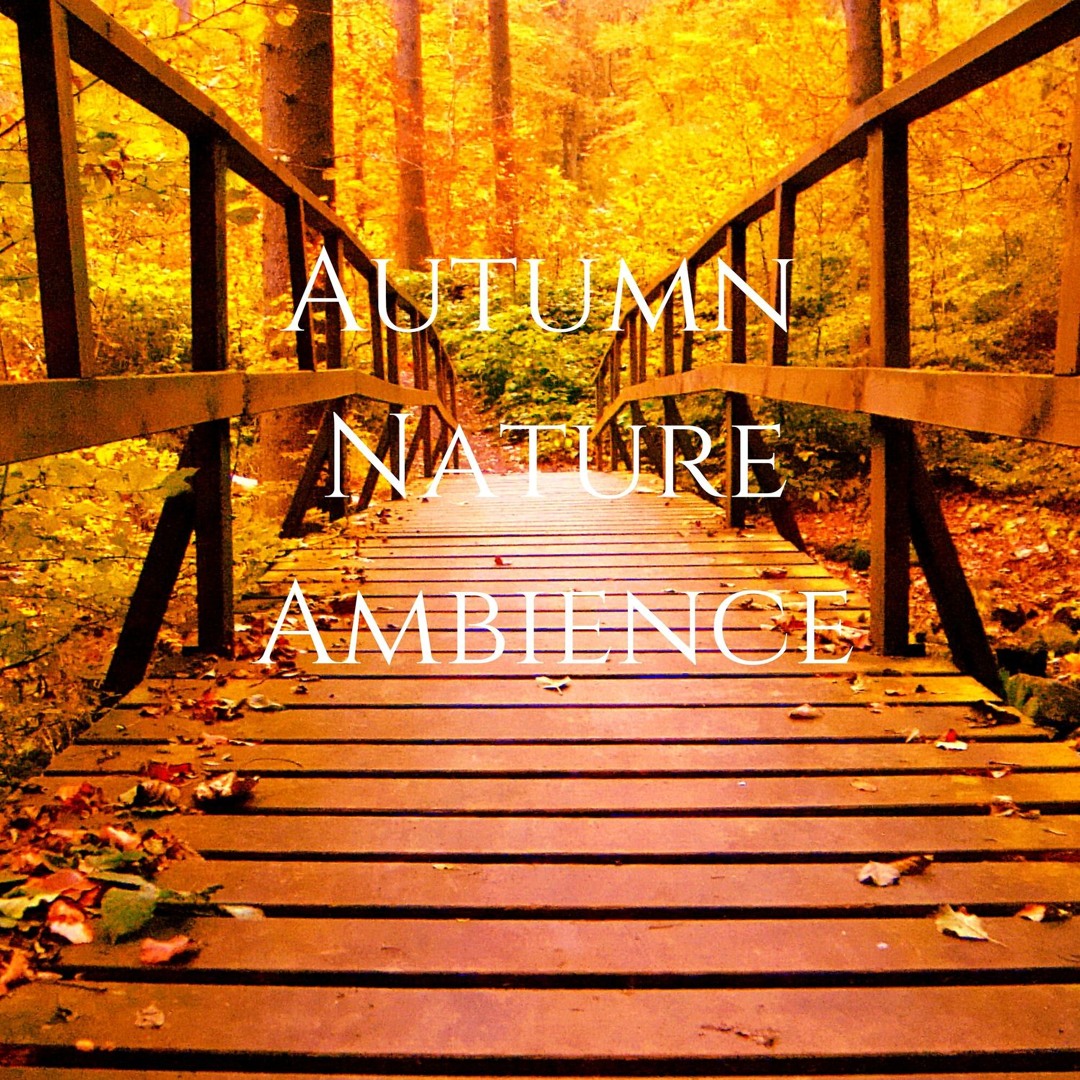 Stream Relaxing Nature Sounds Collection | Listen to Autumn Nature ...