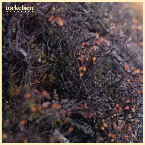 Stream Torkelsen Listen To Torkelsen Playlist Online For Free On