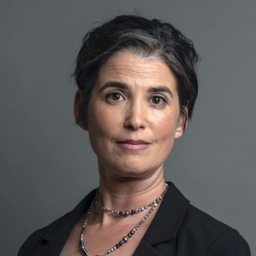 Stream Kate Cohen on "Don't Say Gay" by Hudson Mohawk Magazine | Listen ...