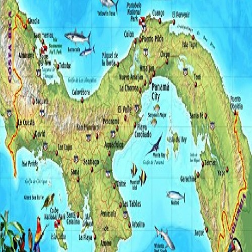 Stream episode PDF Panama Caribbean Coral Reef Creatures Guide Franko ...