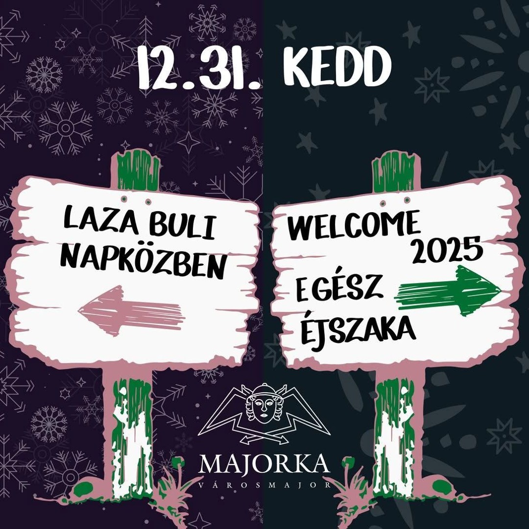 Stream RAVEN - New Year Party (2024.12.31.) @Majorka - Wild Boar ...