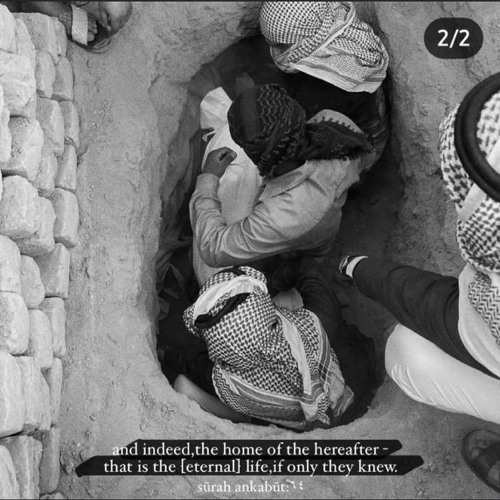 Stream Surah al Baqarah by tareq mohammed veryy soothing and relaxing ...