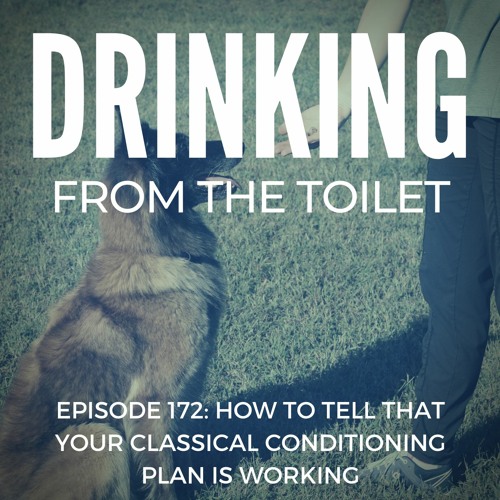 Stream #172: How to Tell That Your Classical Conditioning Plan is ...