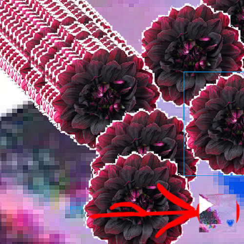 Stream In mammalian brain anatomy, the prefrontal cortex (PFC) covers ...