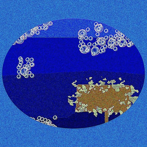 Stream ANGLER FISH FOUND IN TEARS by Stephen Acosta | Listen online for ...