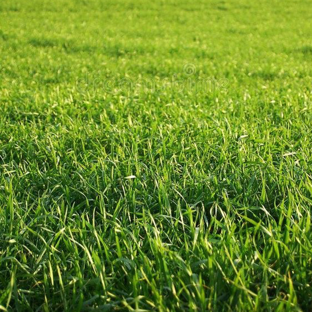 Stream phreshboyswag + guwapchino (fuxkjaii) by fuxkjaii | Listen ...