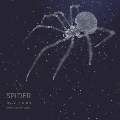 Stream SPiDER - Ali Taram by ALI TARAM | Listen online for free on ...