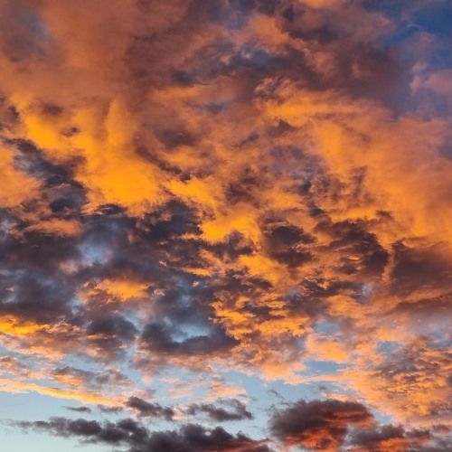 Stream paranormal anxiety by discromat ohm | Listen online for free on ...