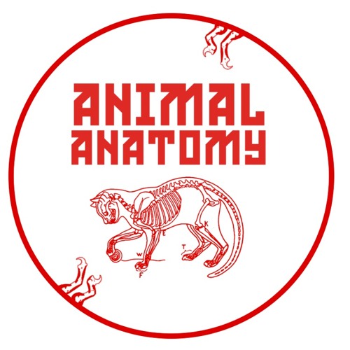 Stream Animal Anatomy | Listen to Animal Anatomy playlist online for ...