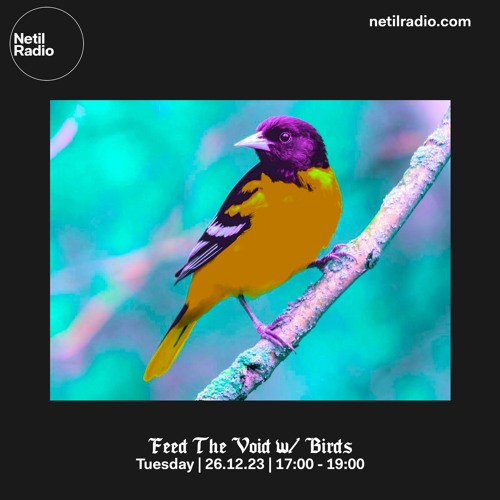 Stream Feed The Void w/ Birds 26/12/23 by Birds | Listen online for ...
