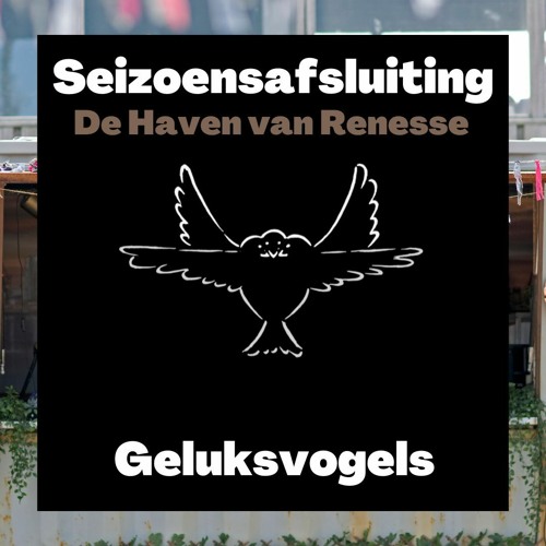 Stream GELUKSVOGELS | Listen to Geluksvogels Seizoensafsluiting 2022 playlist online for free on ...