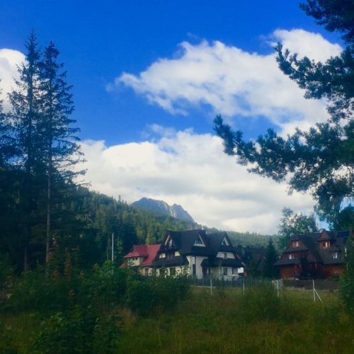 Stream Mr Kirby | Listen to Poland 2024 playlist online for free on ...