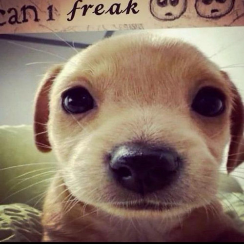 Stream A Delusional Nuisance Slowed By Shingai Listen Online For