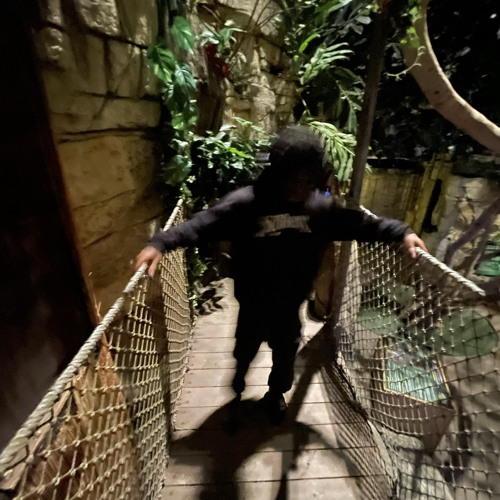 Stream Butterflydoors[prod.imperial] by MINGO P | Listen online for ...