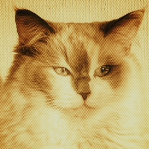 Stream I got a reaction from the alcohol checker by T.K.G | Listen ...