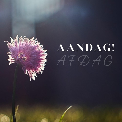 Stream Aandag! deur Frieda van den Heever by InVia Gemeente | Listen ...